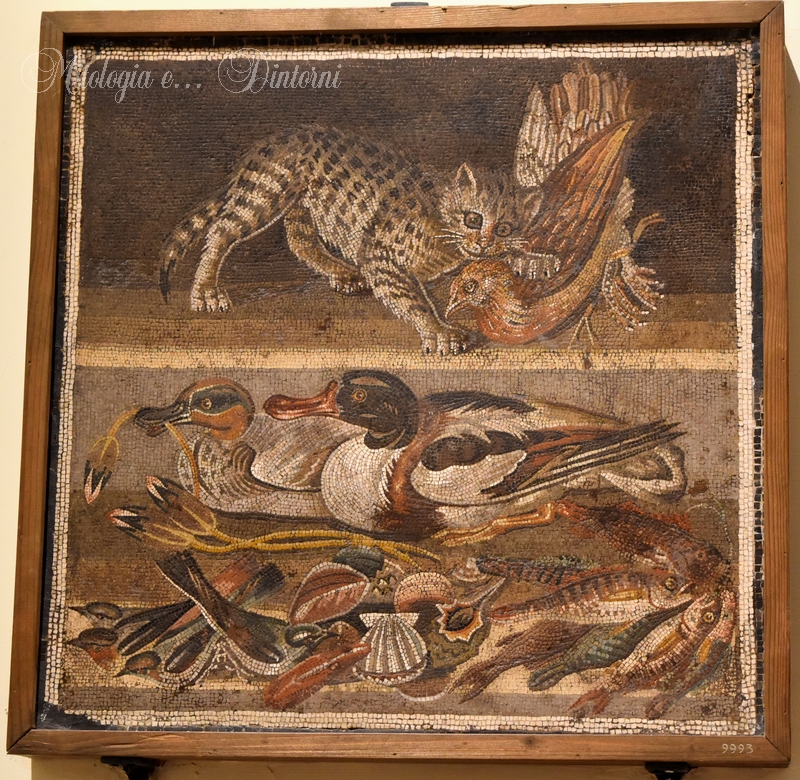 Museo di Napoli - Piano primo - I mosaici di Pompei - sala LX